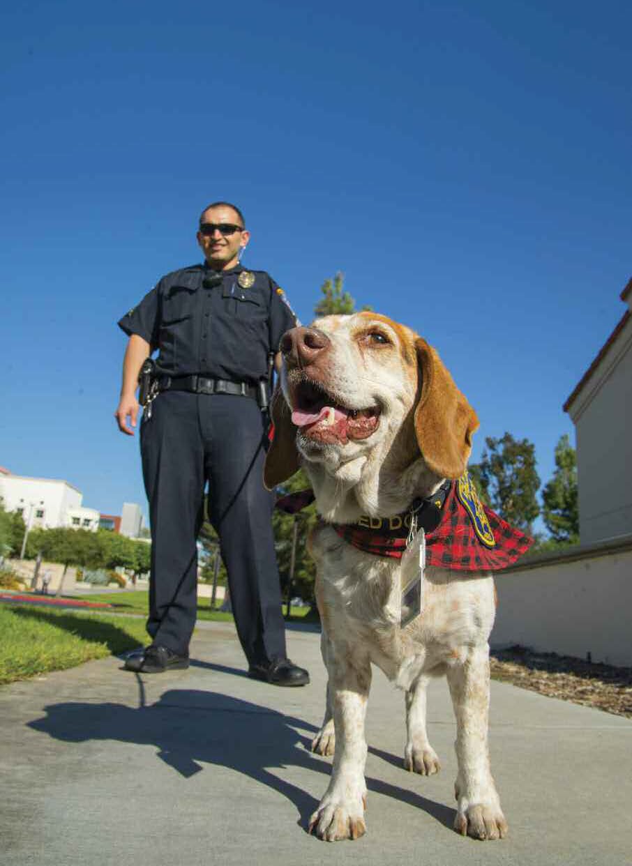 Working Dog | Pomona College Pomona College Magazine